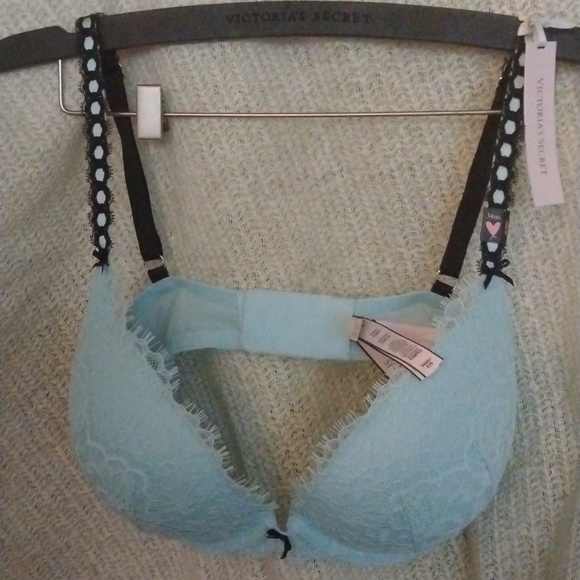 Victoria's Secret | Intimates & Sleepwear | 34dd Dream Angel Pushup Bra ...